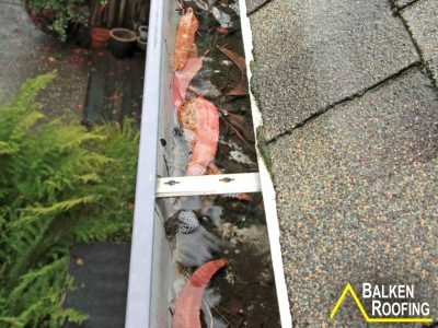 Preventing Legionnaire’s Disease With Clean Gutters